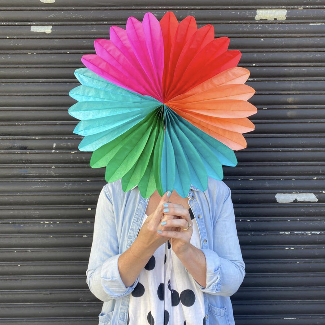 colourful fan