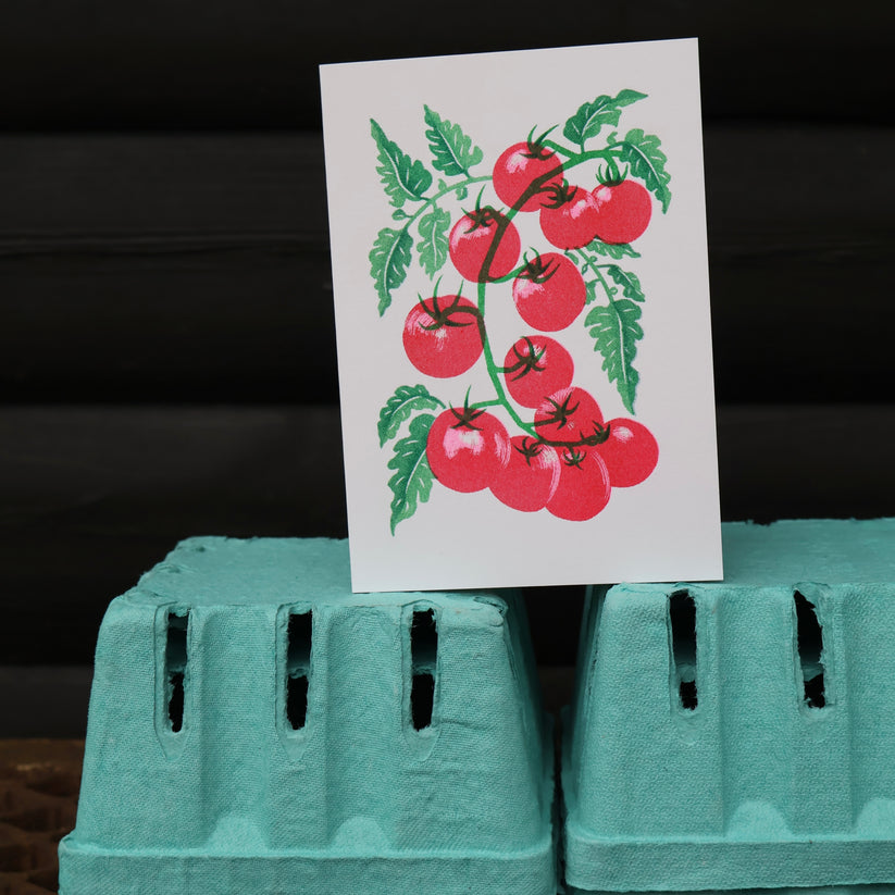 Vine Tomatoes Risograph Print Greeting Card – Petra Boase Ltd
