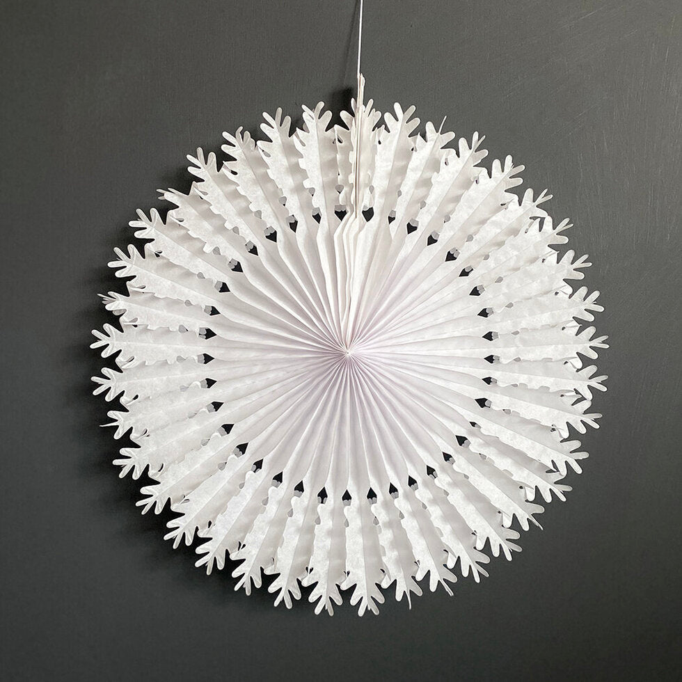 Paper Fans – Petra Boase Ltd
