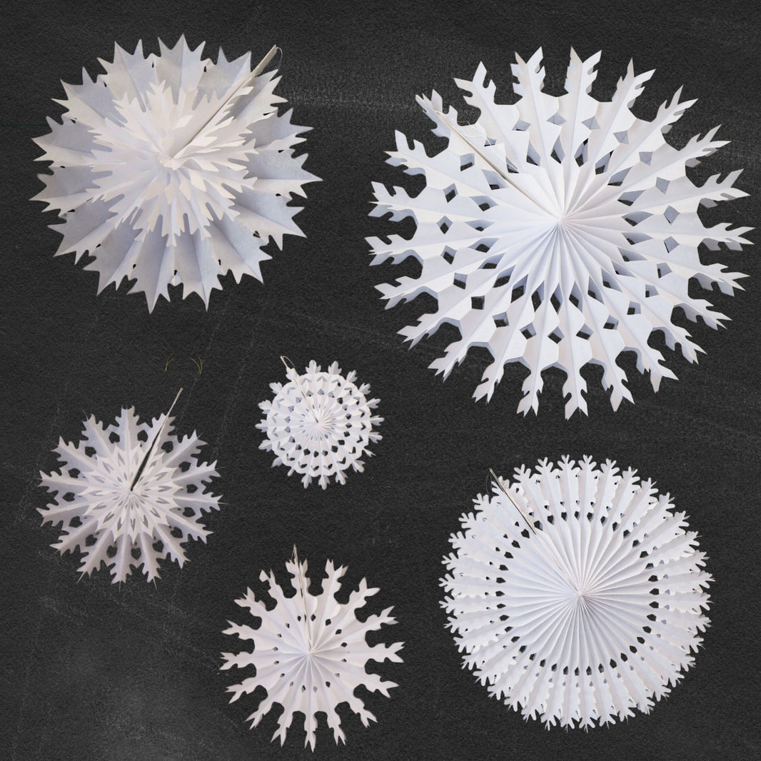 Paper Fans – Petra Boase Ltd