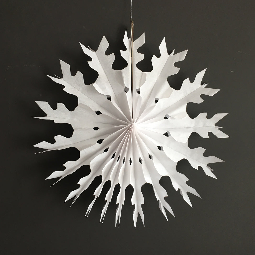 Paper Fans – Petra Boase Ltd
