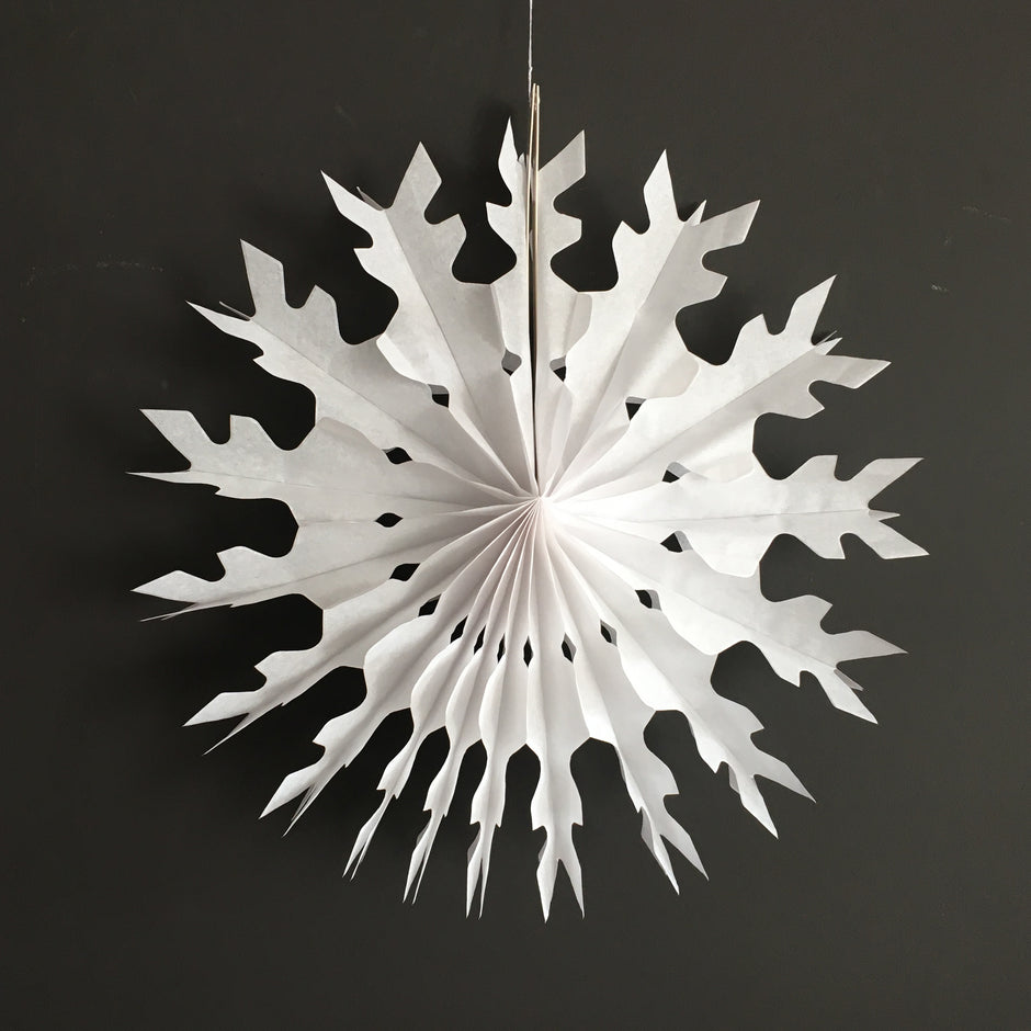 Paper Fans – Petra Boase Ltd