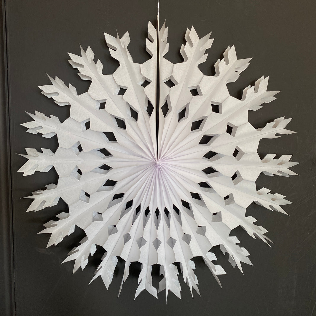Paper Fans – Petra Boase Ltd